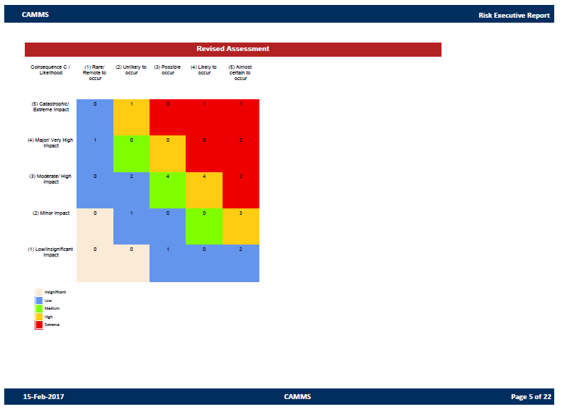 Risk Executive Report_3