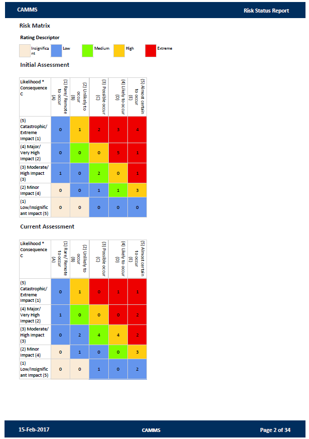 Risk Status Report