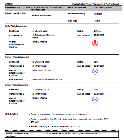 Strategic Risk Report - Standard