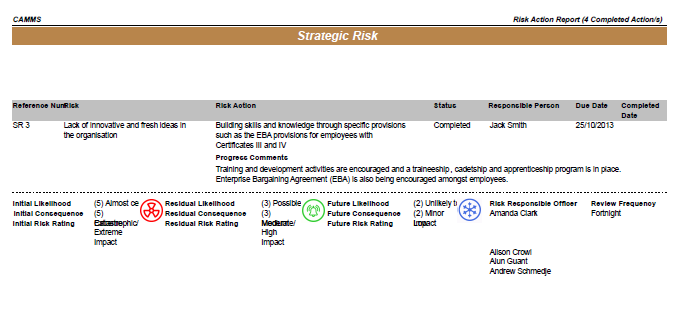 Risk Action Report